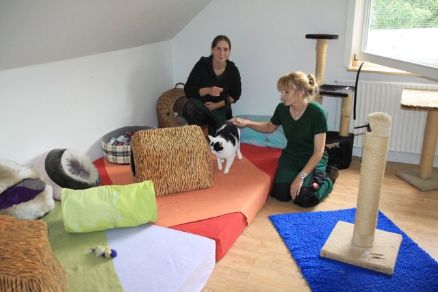 Eine neue Spielecke für Samtpfoten - Stade