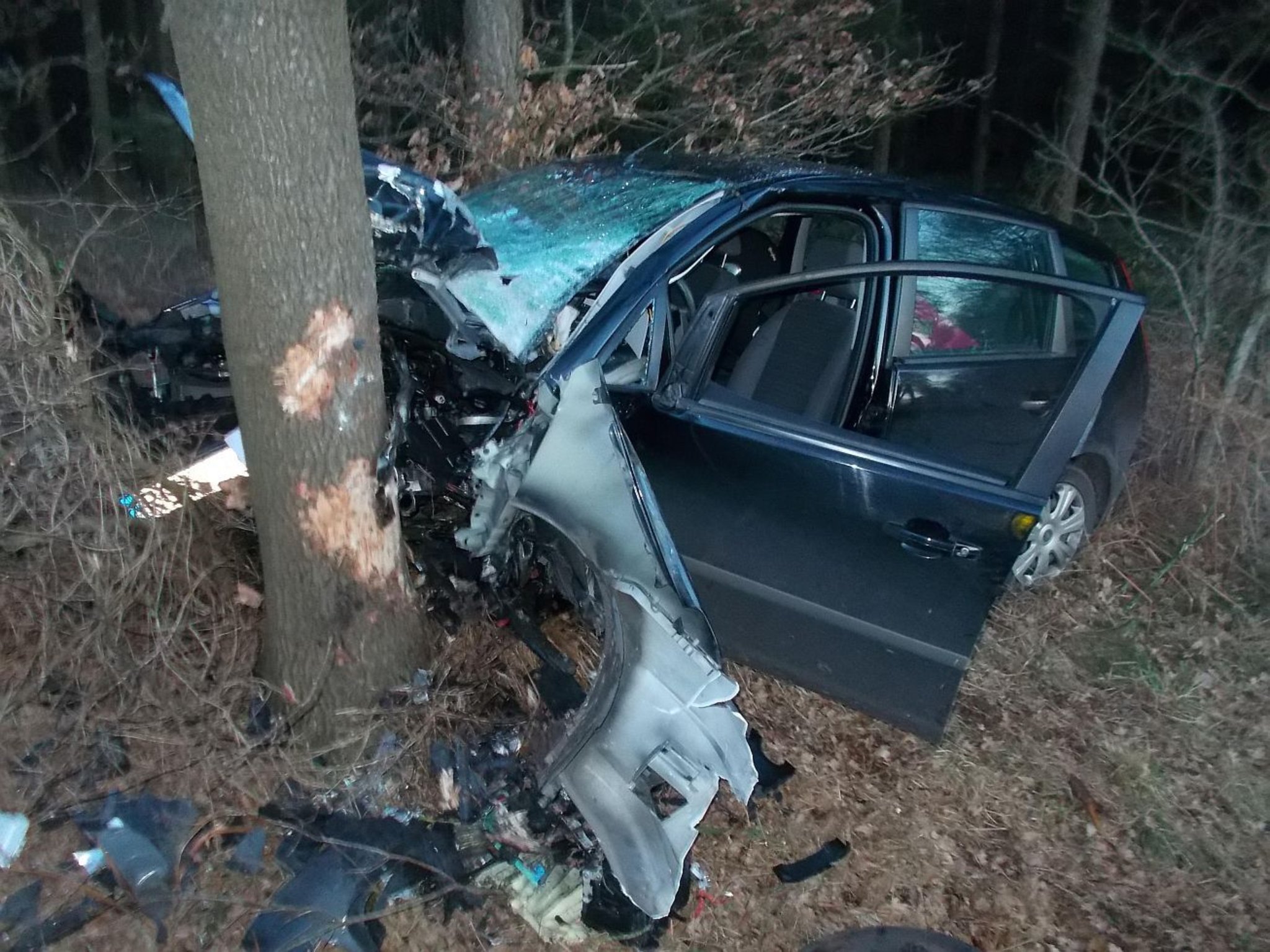 Auto prallt gegen Baum / Mann stirbt - Fredenbeck