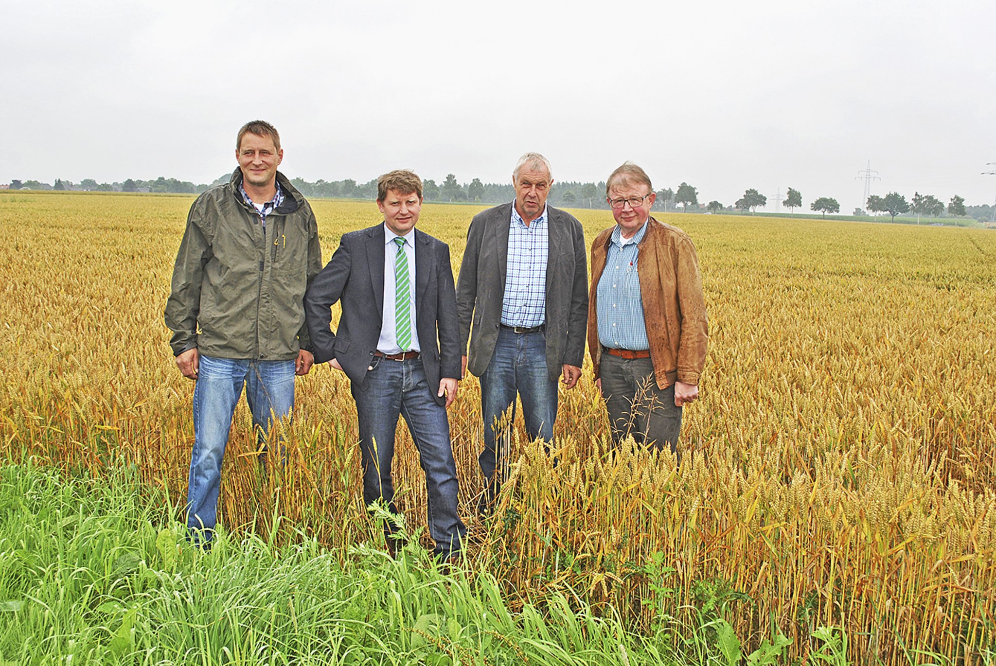 Landwirtschafts-Experten hoffen auf gute Ernte - Winsen