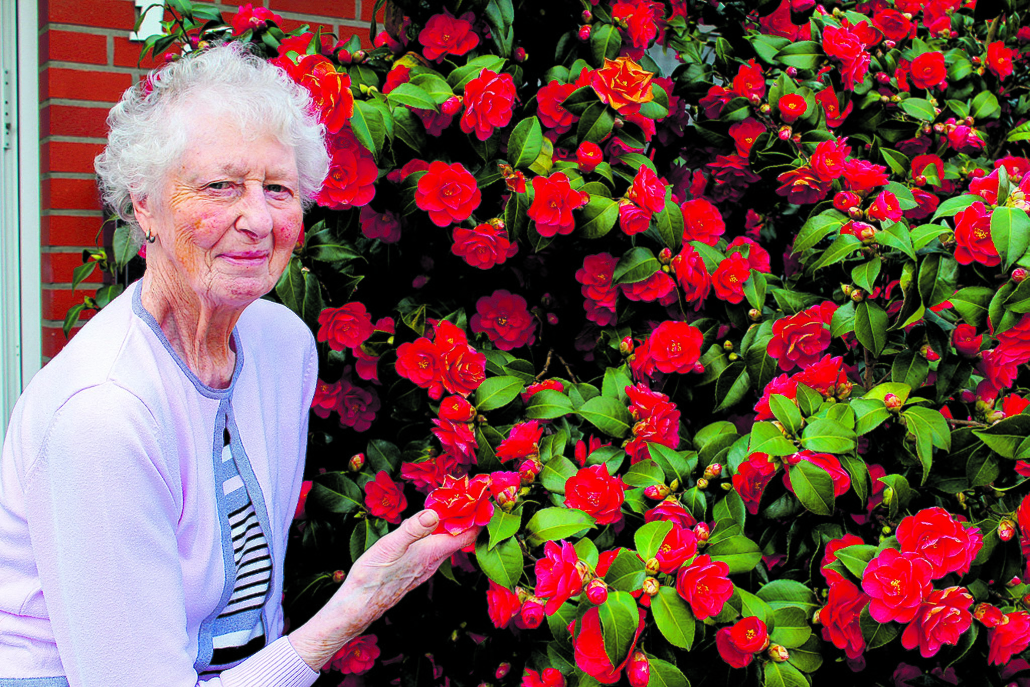 Der Garten ist ihr Ein und Alles: Rita Westphal (87) blüht durch ihre ...