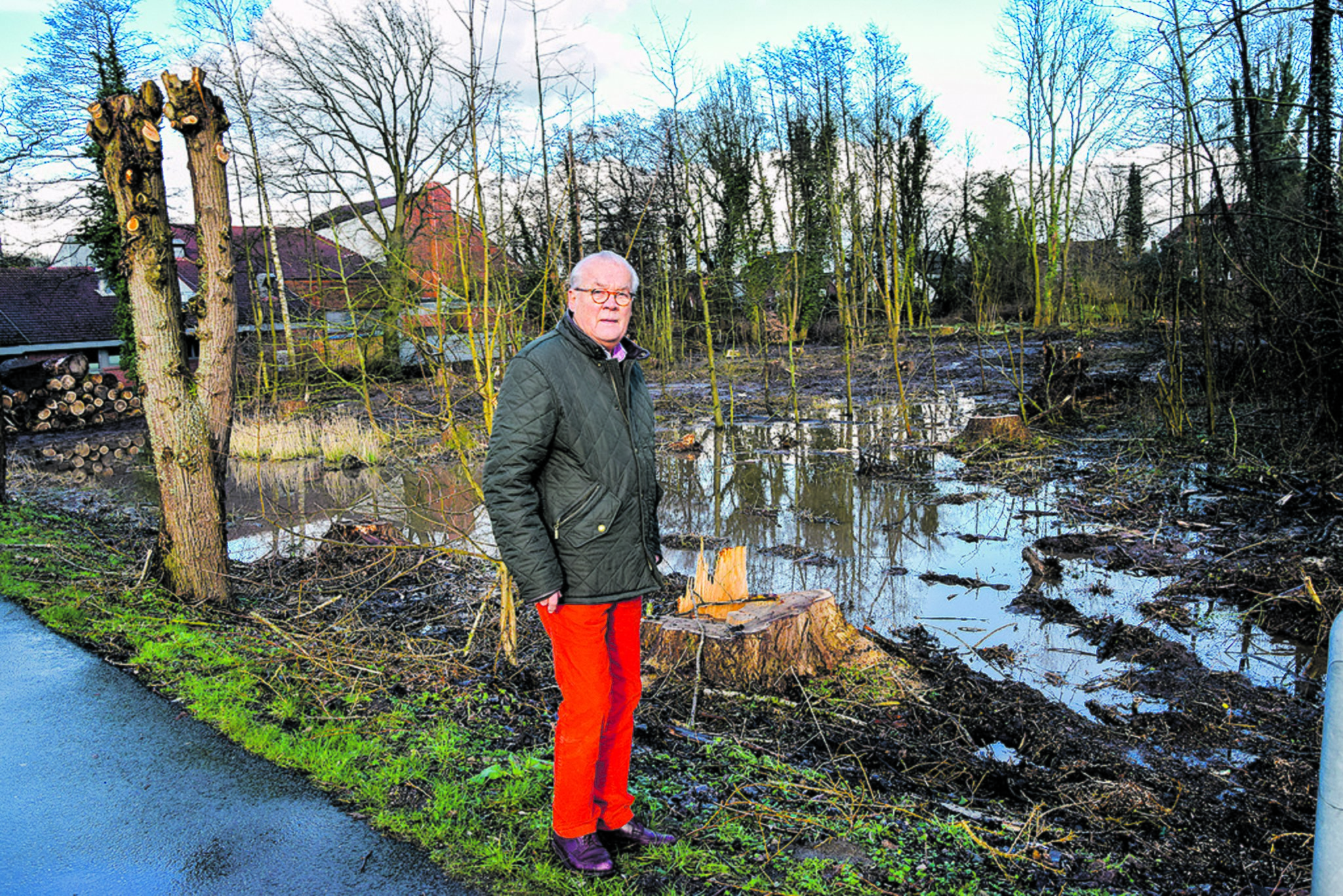 Hittfeld: Entsetzen über Kahlschlag im geschützten Erlenbruchgelände ...