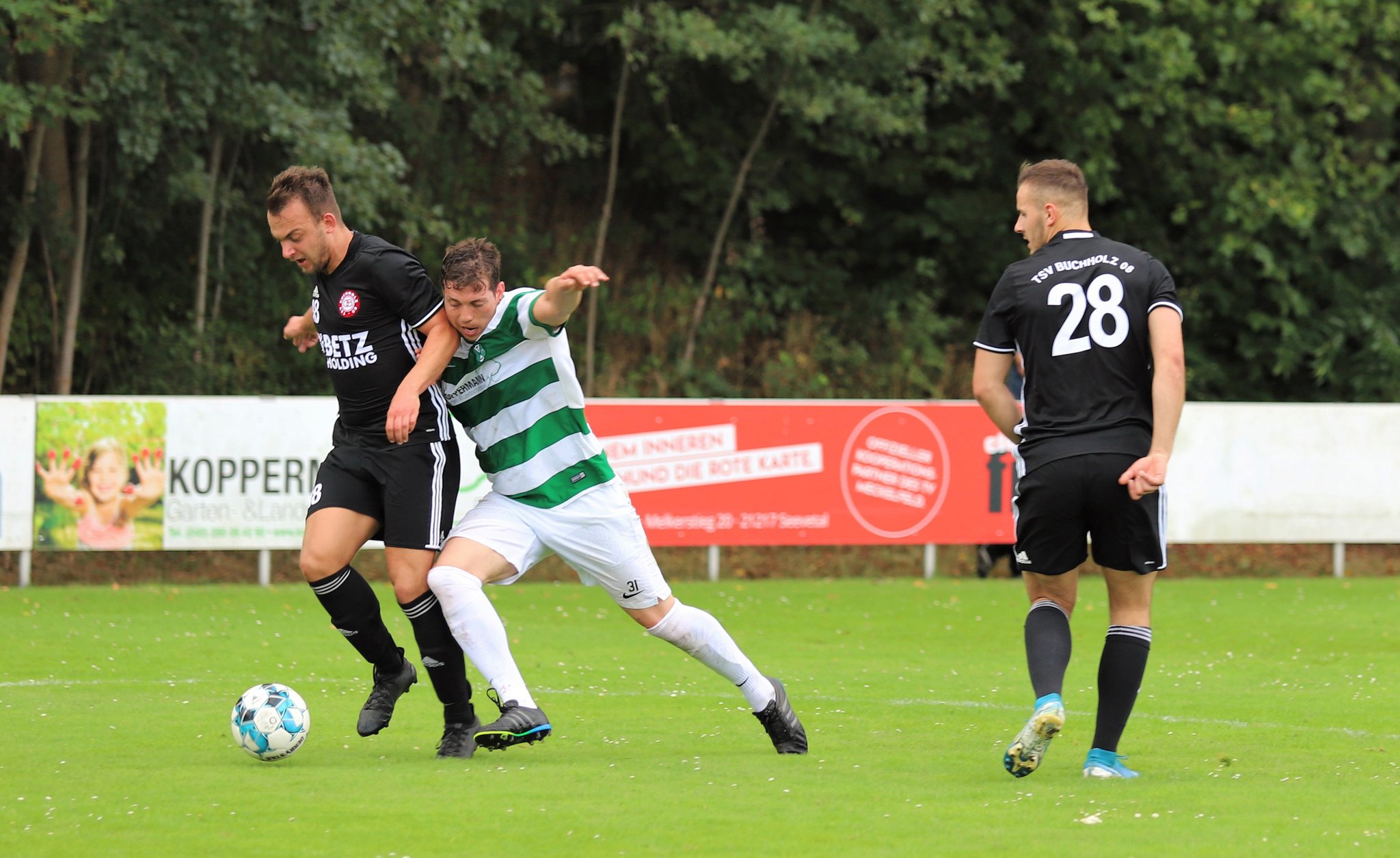 Buchholz 08 verspielt Testspielsieg - Buchholz