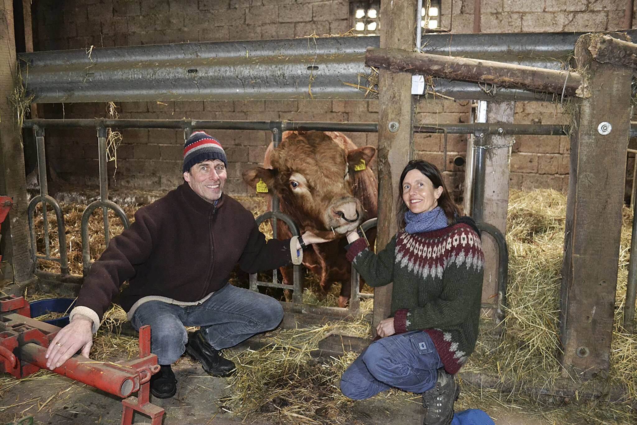 Cow-Sharing: Kunden teilen sich eine Kuh - Nordheide Wochenblatt