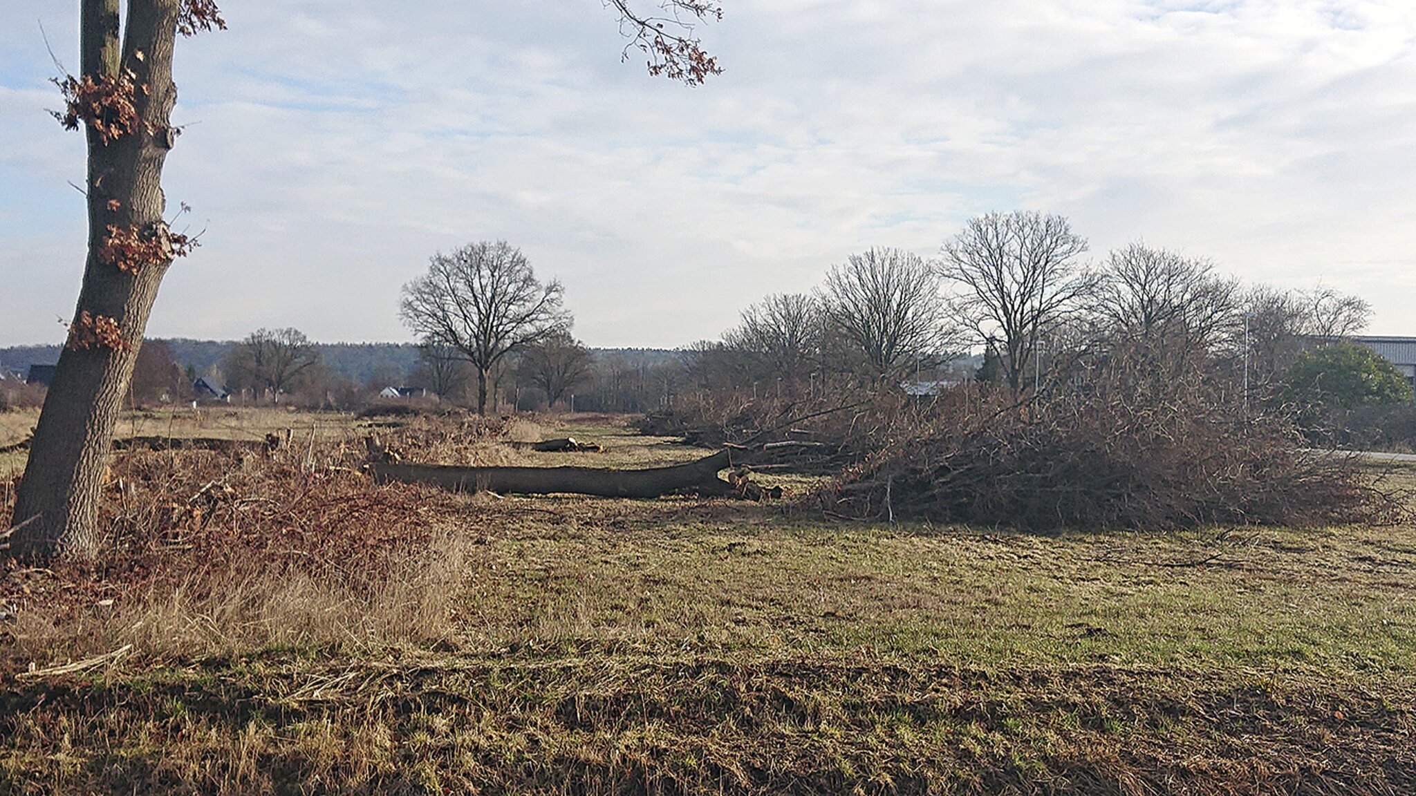"Das ist unverantwortlich": Freie Wähler kritisieren Entscheidung des ...