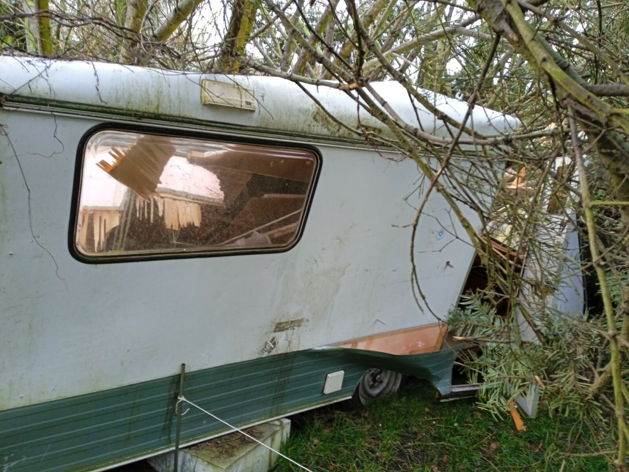 Dramatische Nacht auf Tesper Campingplatz: Umgestürzte Fichte zerstört ...