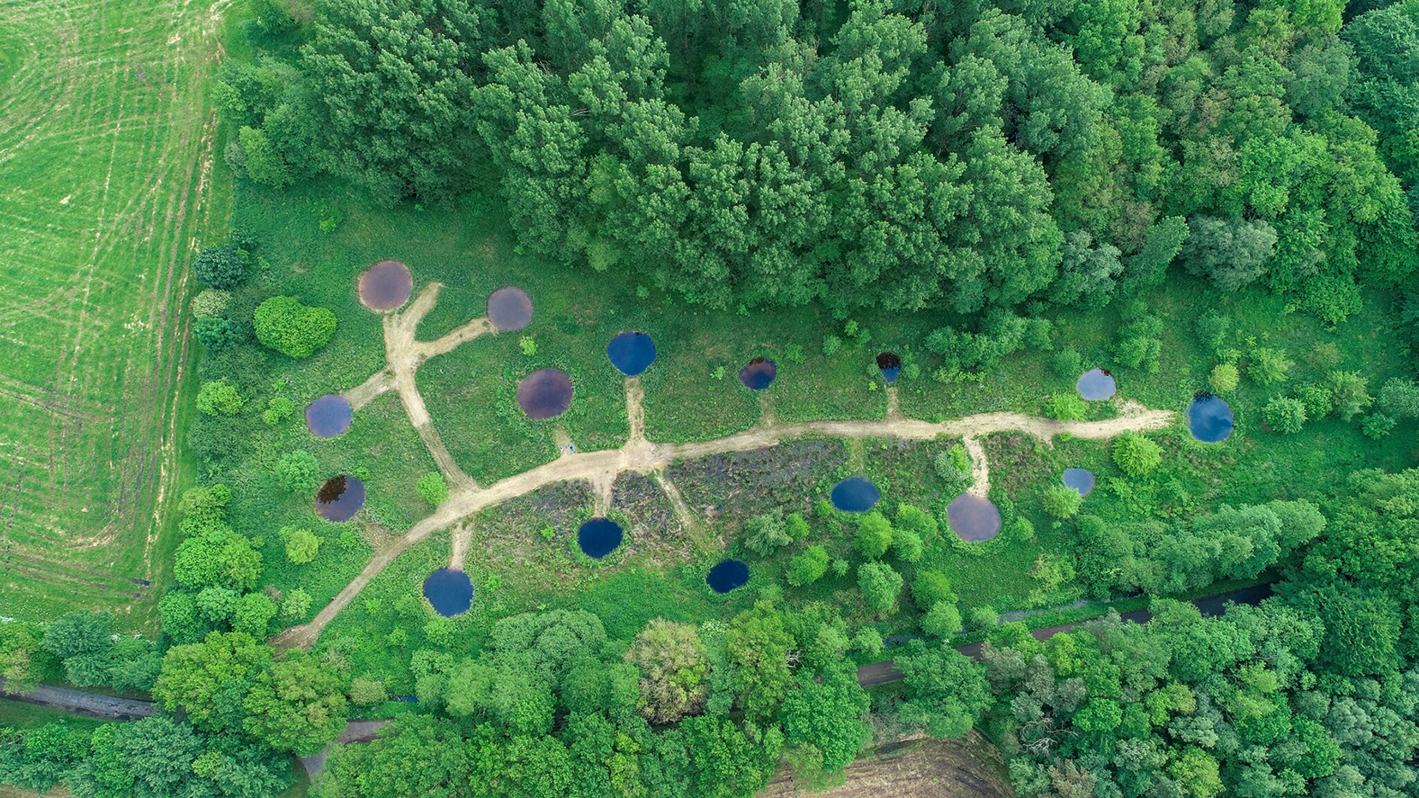 Neuauflage der Wald-Info-Karte: Der Braken für die Westentasche - Harsefeld