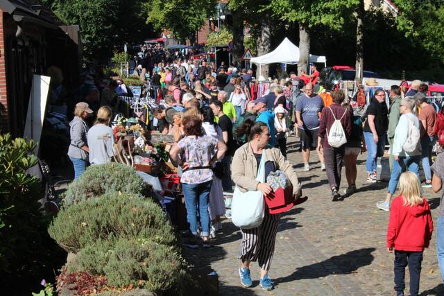 450 Stände, tausende Besucher, bestes Wetter: Flohmarkt Tostedt: So ...