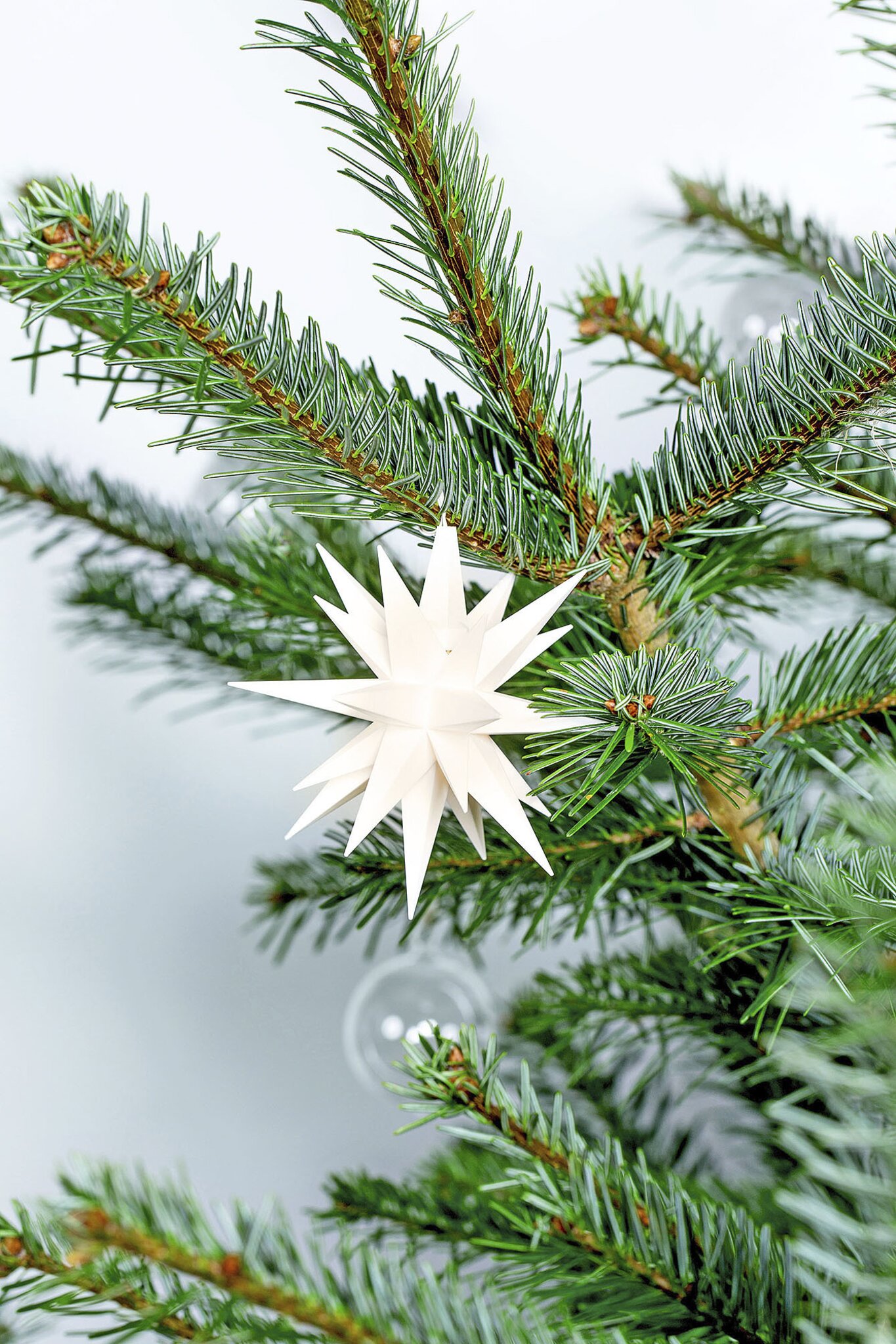 Landkreis Stade entsorgt Tannen: Abholservice für Weihnachtsbäume - Stade
