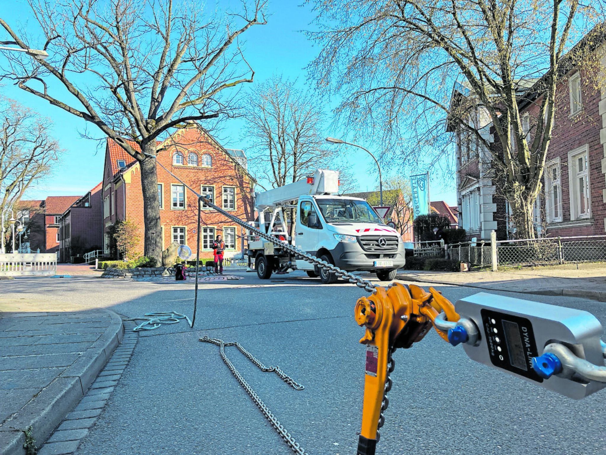 Hittfeld: Kaisereiche am Standesamt soll Orkan-Test bestehen - Seevetal