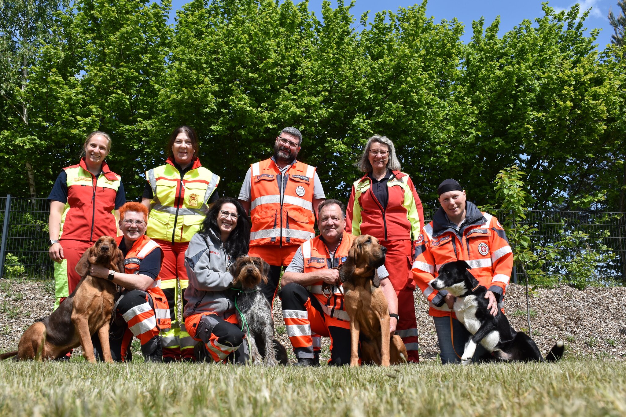 Johanniter: Rettungshunde-Fortbildung: Wie prüft man Mantrailer ...