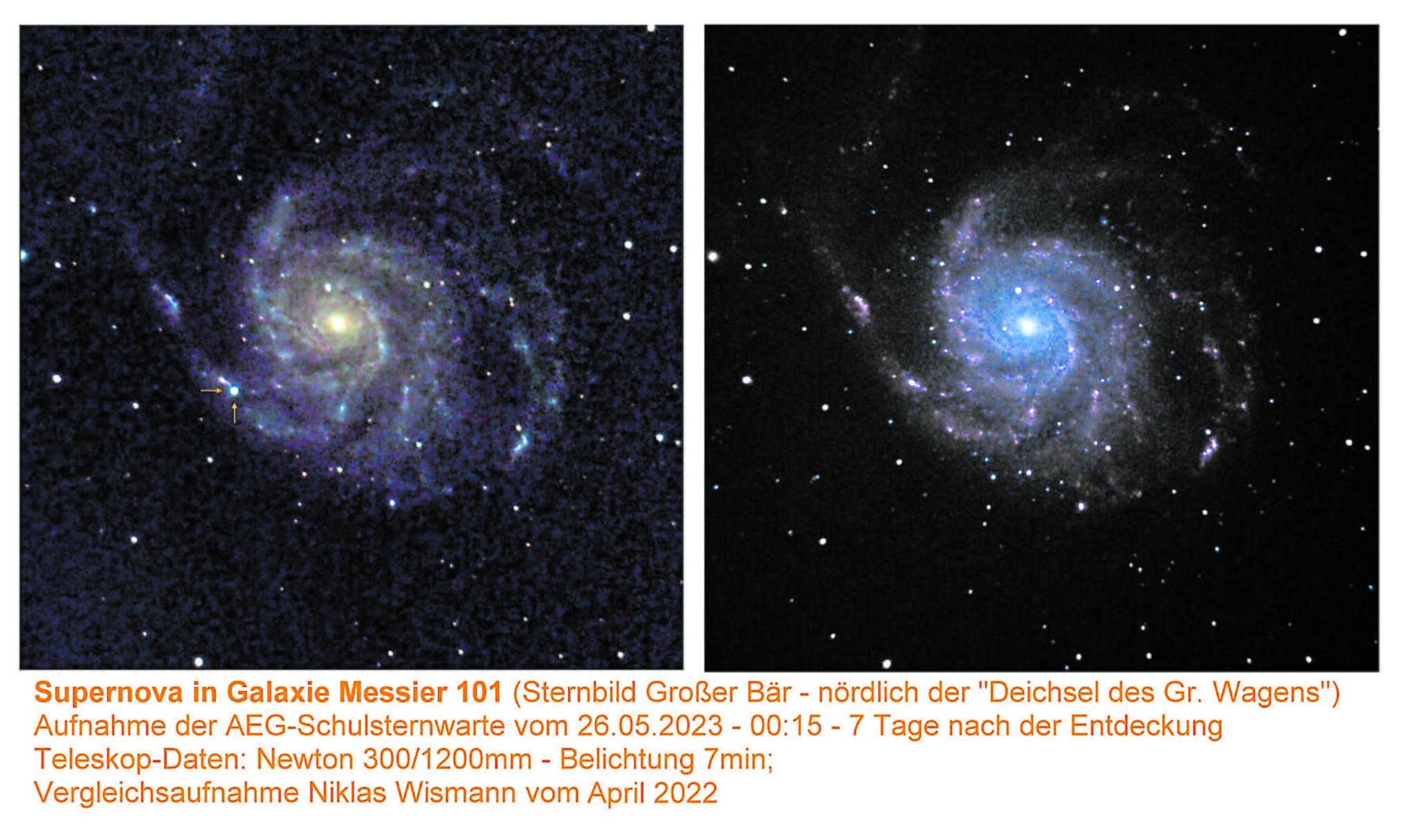 Astro-AG verfolgt Sternentod: Supernova im heiteren Mitternachts-Himmel ...