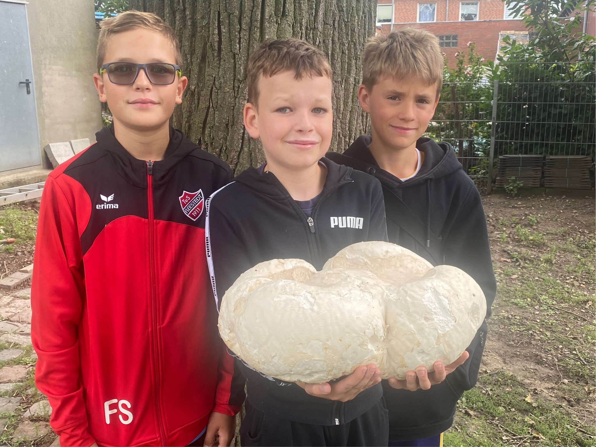Riesenbovist in Seevetal: Mega-Pilz beim Spielen gefunden - Seevetal