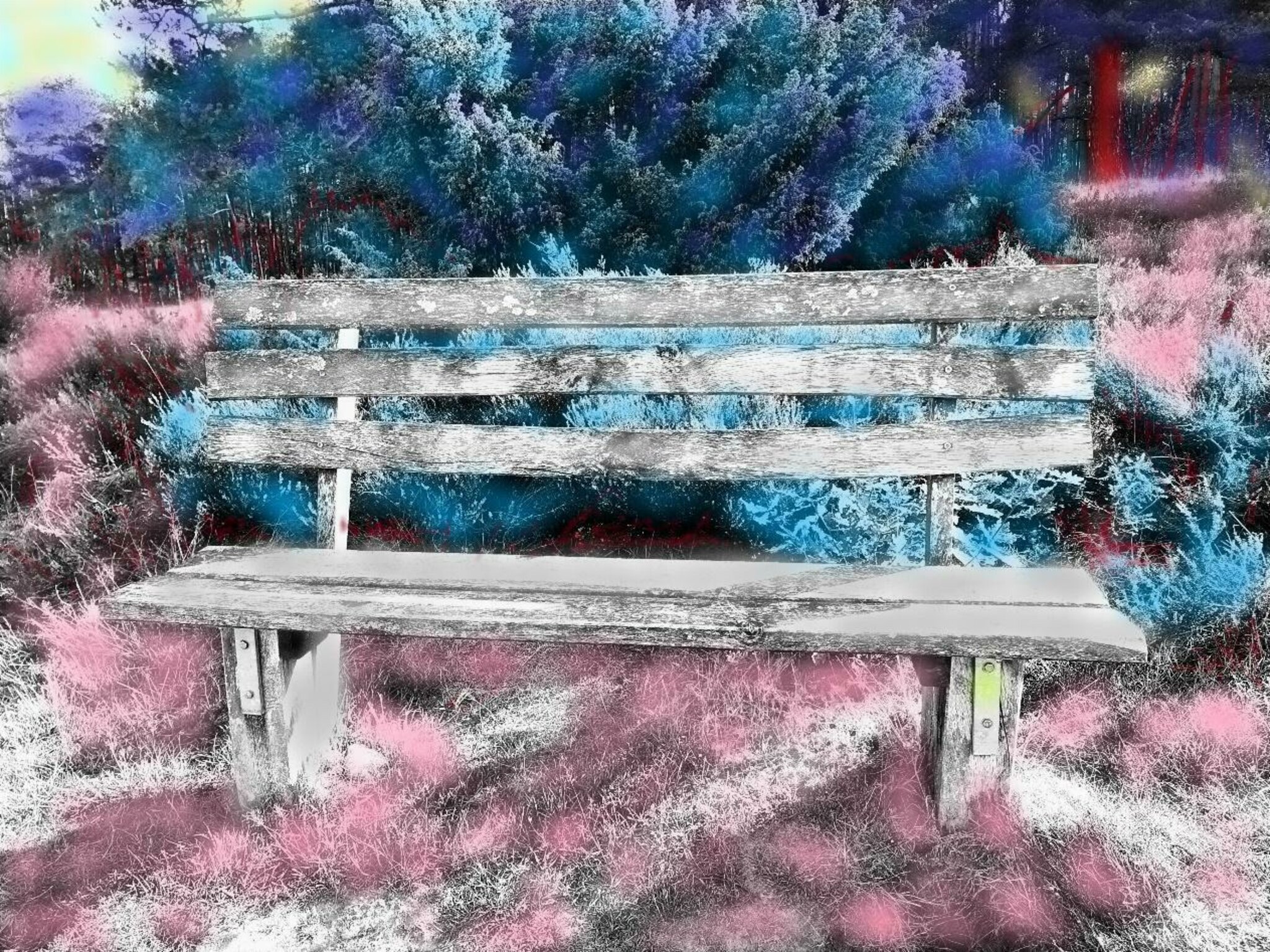 Schneverdingen: Neue Ausstellung von Regina Rheinwald - Buchholz