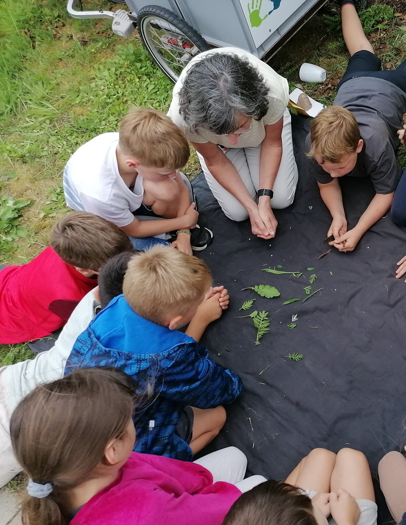 Grundschule Stieglitzweg Buxtehude: Junge Naturforscher auf ...