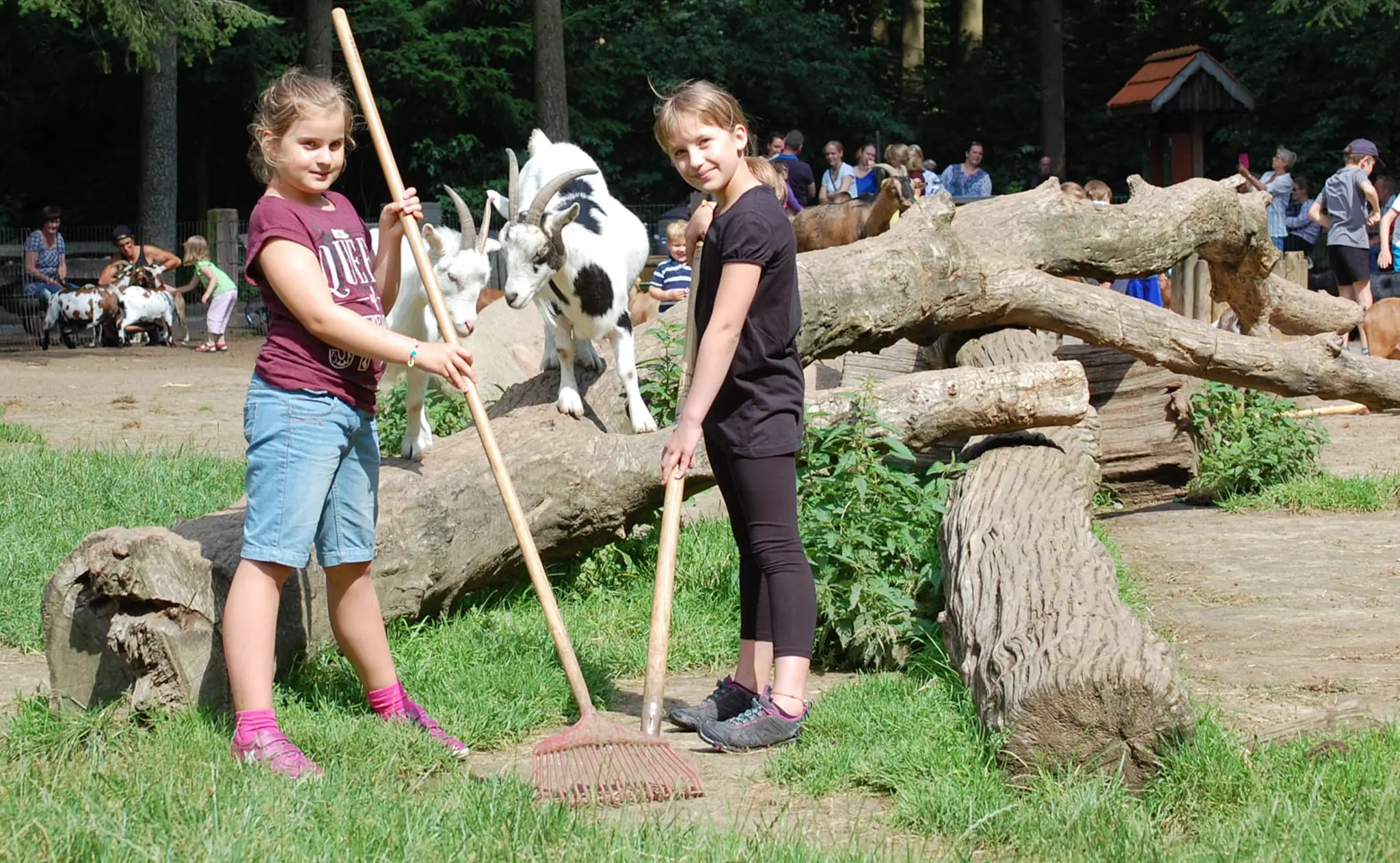 Sommerferienprogramm im Wildpark Schwarze Berge: Tierisch was los! - Rosengarten
