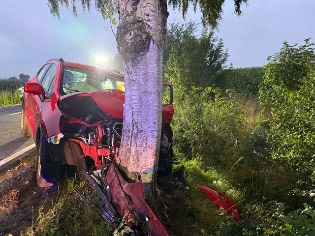 83-Jähriger prallt frontal gegen Baum: Tragödie am frühen Morgen: Tödlicher Verkehrsunfall bei ...