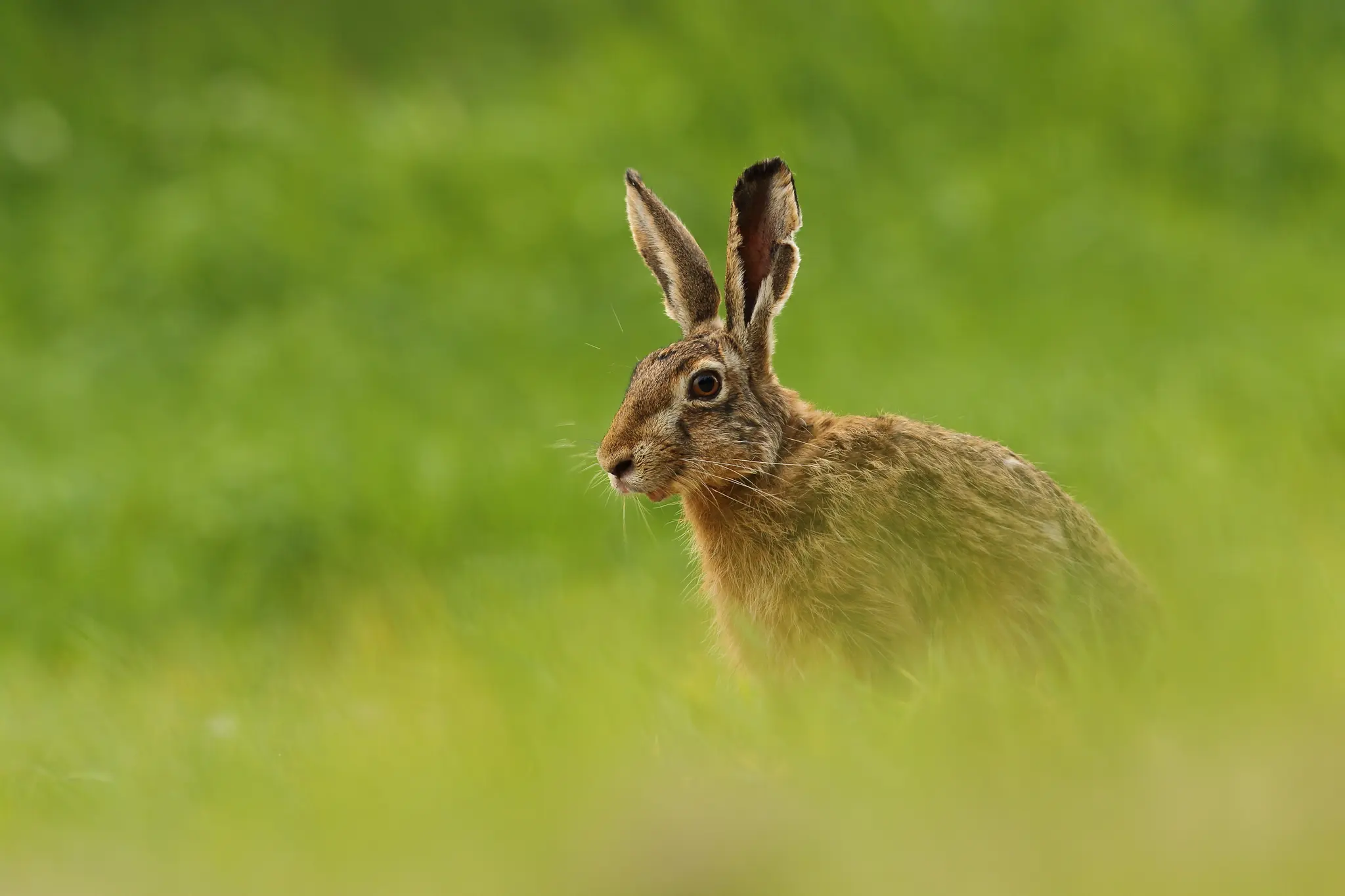 Only fans marleny i knew we would enjoy a great time.