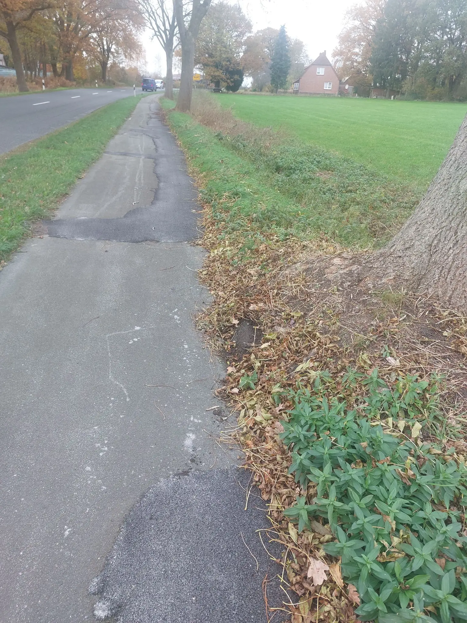 Radweg wird saniert und verbreitert: Kreisstraße 41 bei Sauensiek ist ...