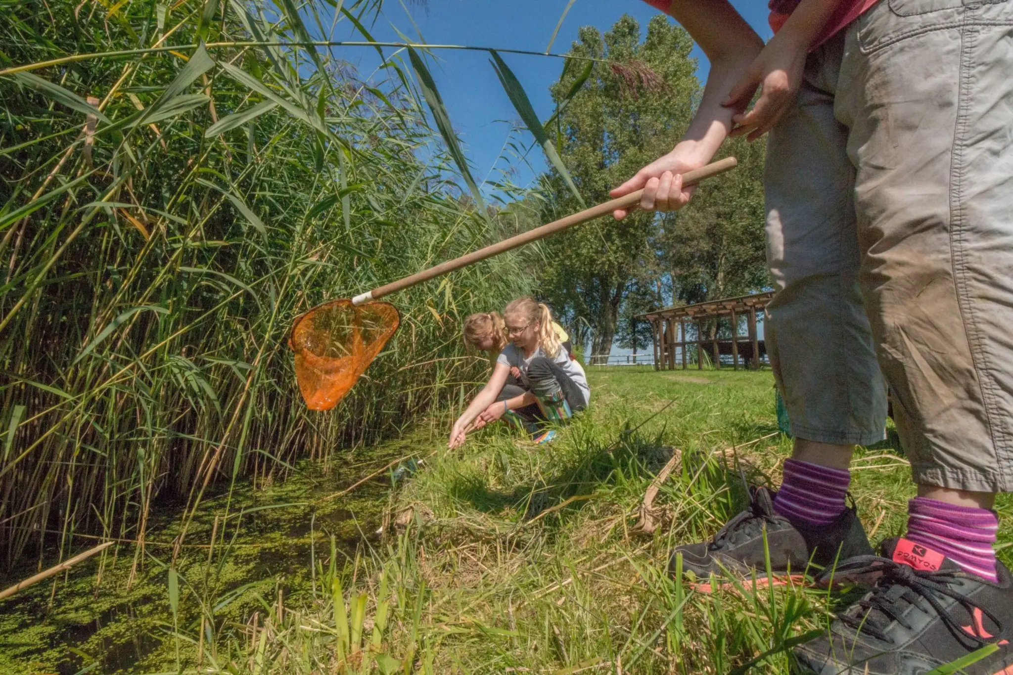Den Marschgraben erforschen: Langer Tag der Stadtnatur "Alles fließt ...